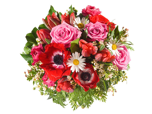 Blumen - Cafe und Blumen Im Garten Eden