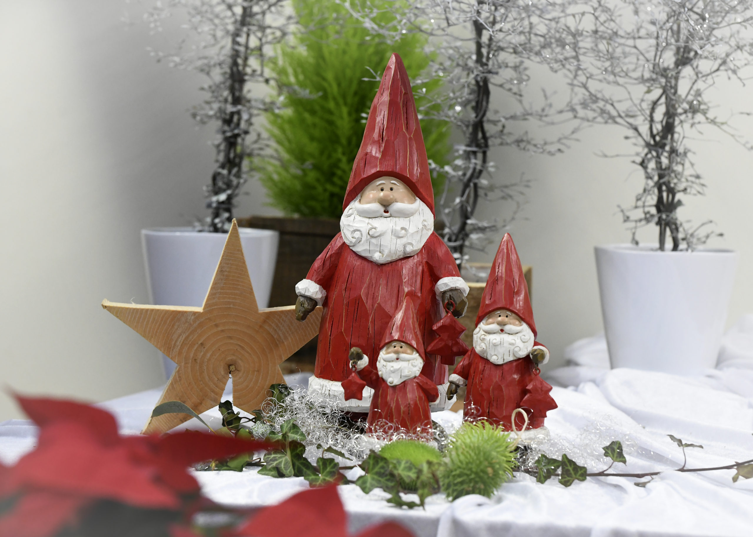 Blumen - Cafe und Blumen Im Garten Eden